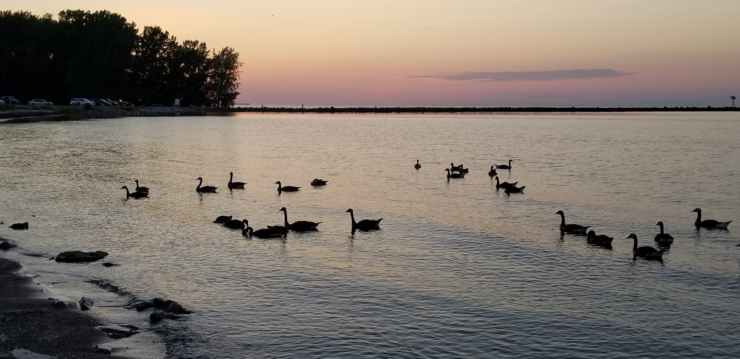 Rust Belt Girl roundup for July 15, 2018 – Rust Belt Girl